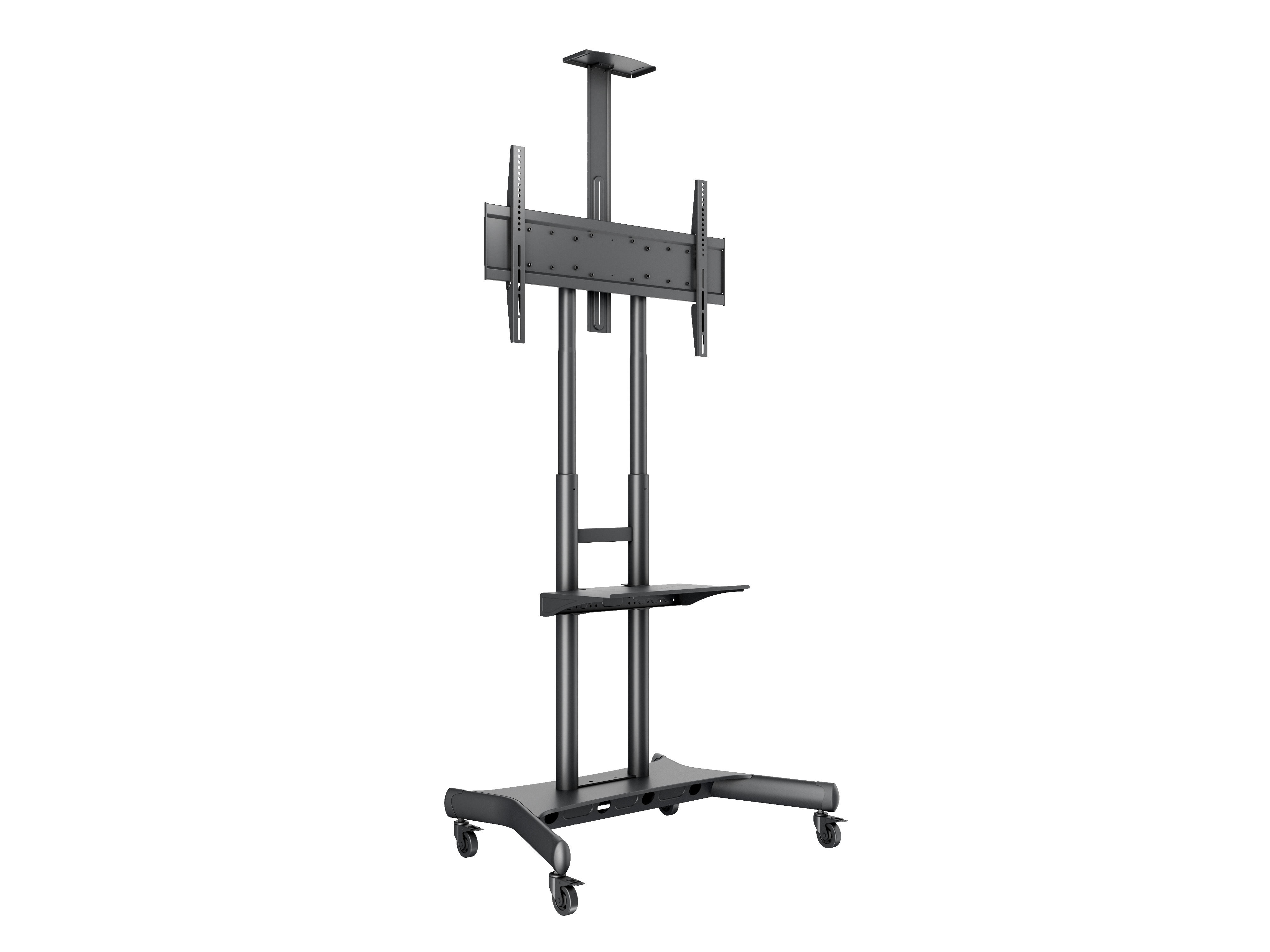 Symple Stuff Throckmorton Fixed Floor Stand Mount for 55"-80" Flat ...