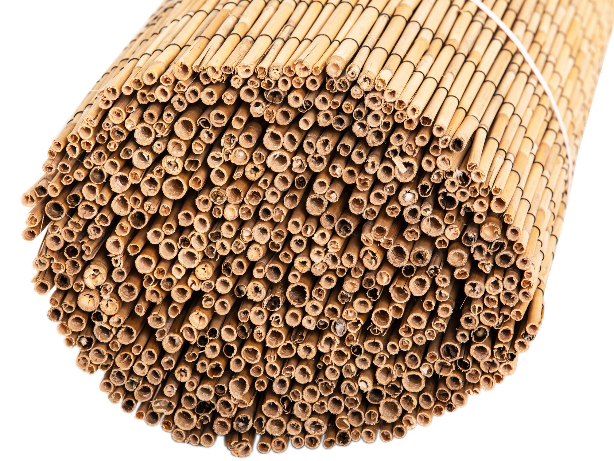 Backyard X-Scapes 6 ft. H x 16 ft. W Natural Jumbo Reed Fence ...