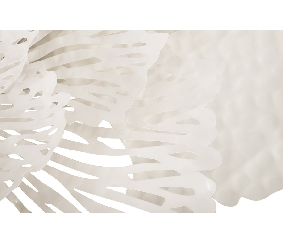 Phillips Collection Flower Wall Décor & Reviews | Perigold