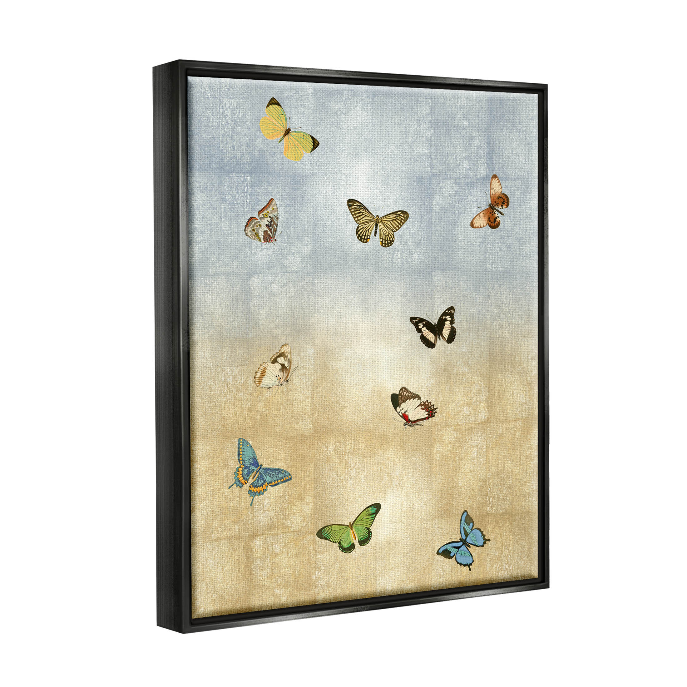 August Grove® Various Butterfly Insect Pattern Framed On Canvas by Tina ...