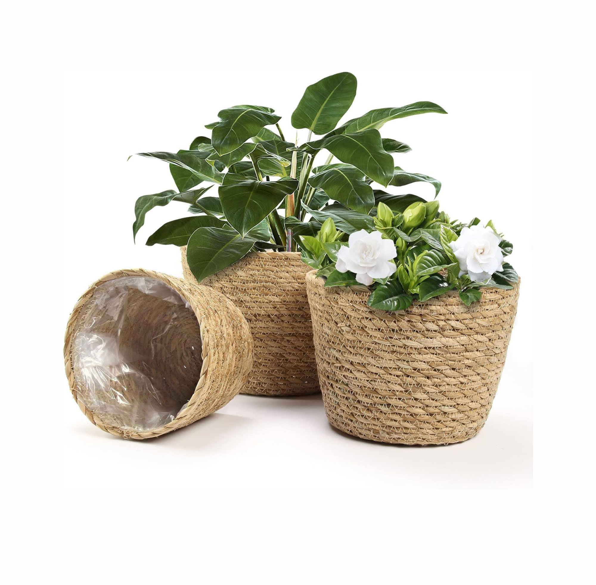 August Grove® 3 PCS Plant Baskets Indoor with Plastic Liner, Water ...