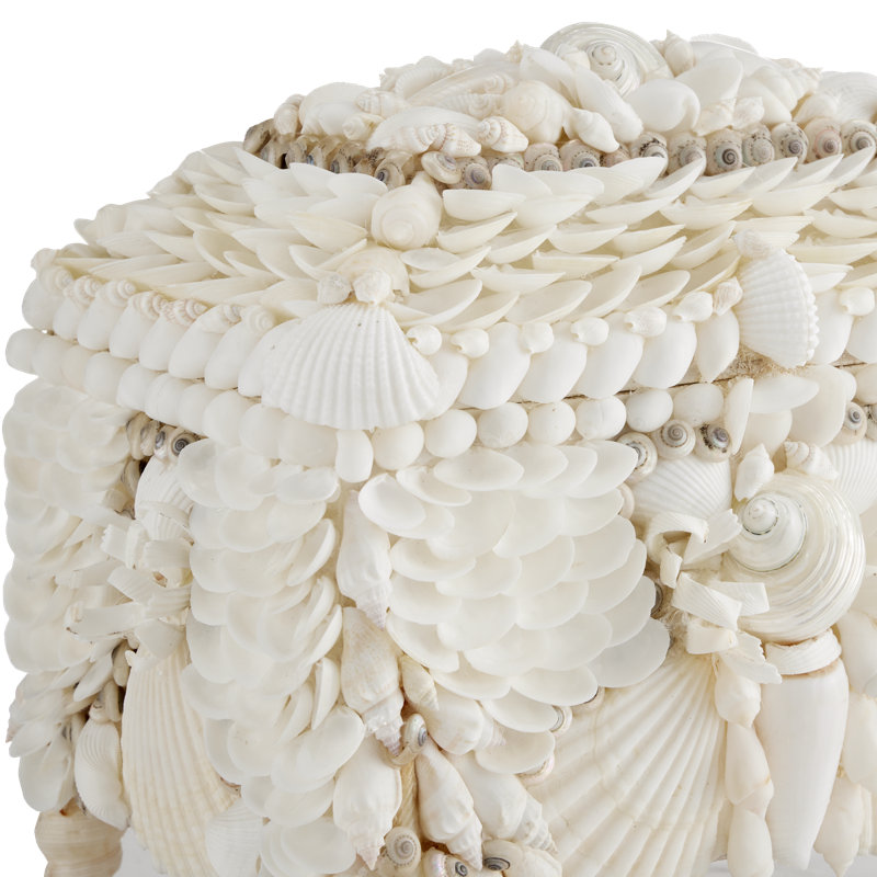 Currey & Company Boardwalk Shell Jewelry Box | Perigold
