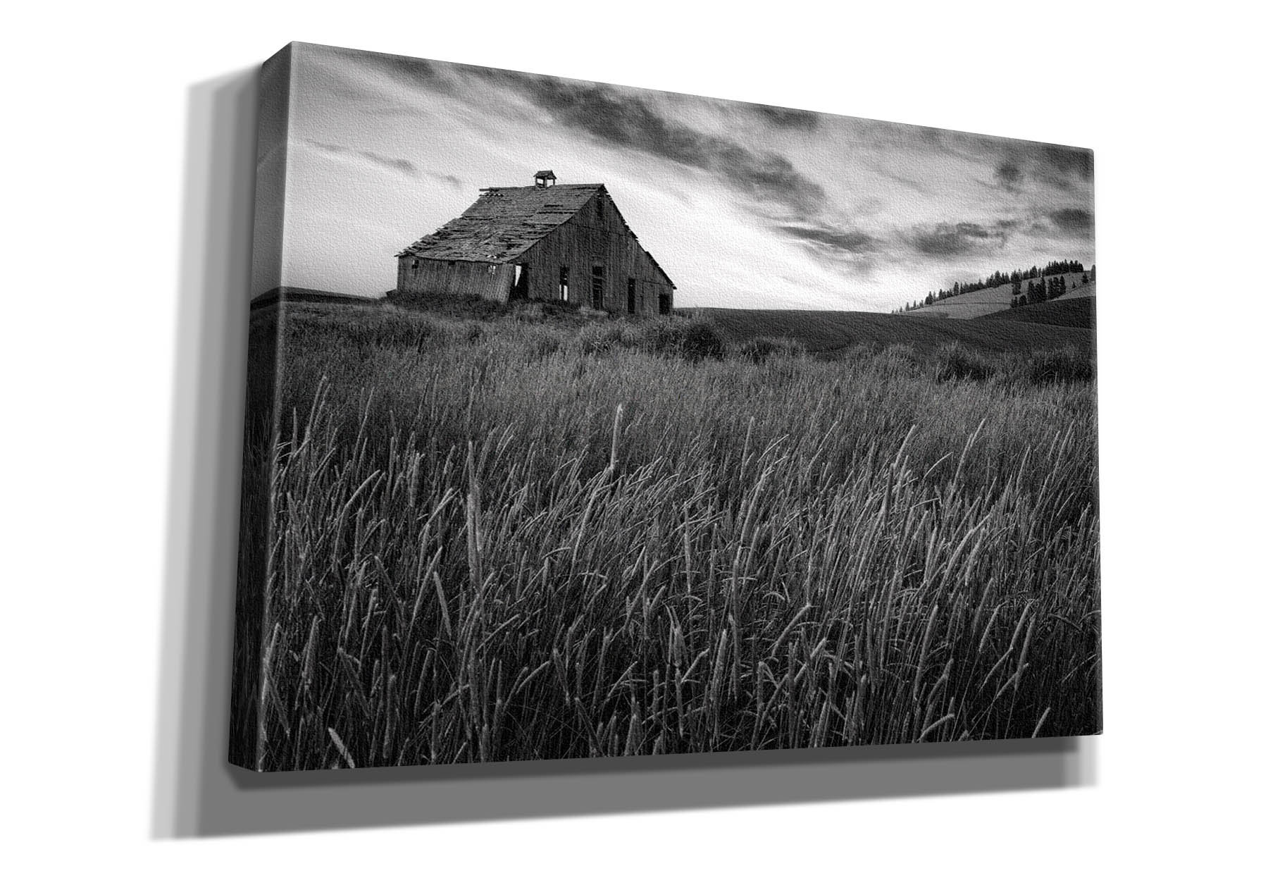 Gracie Oaks 'Forgotten In The Fields' by Rick Berk Canvas Wall Art ...