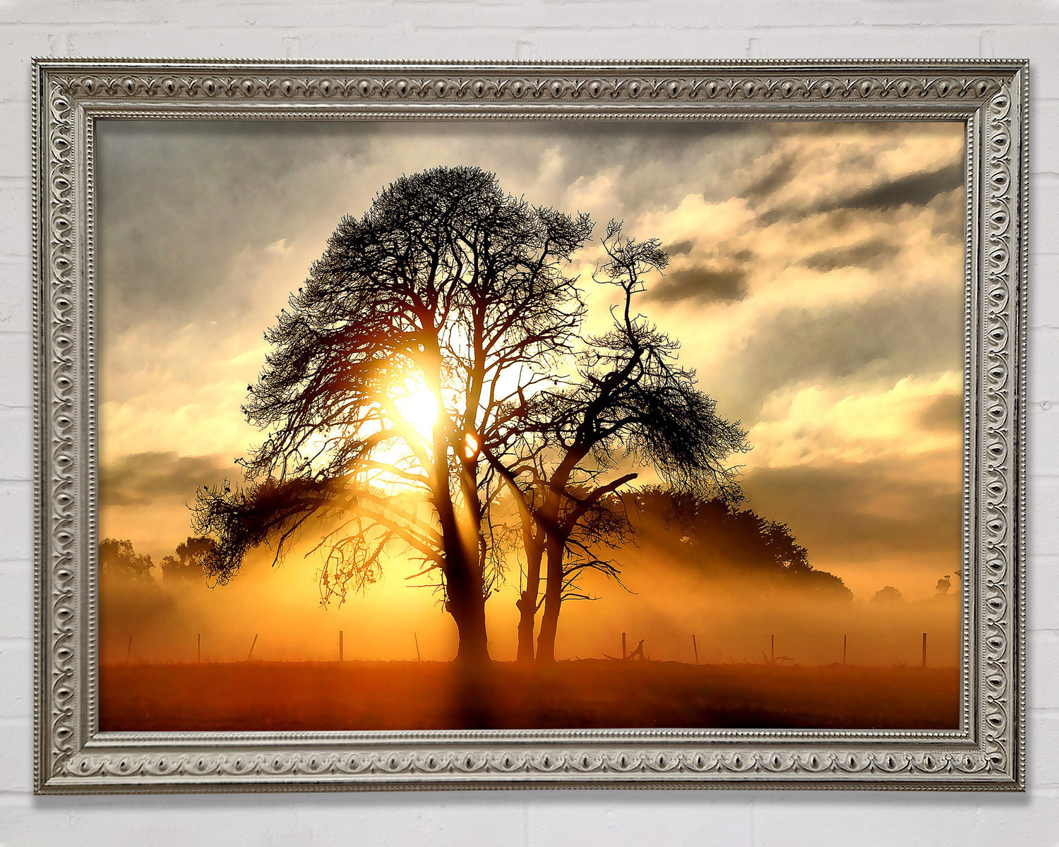 Bright Star Fog Across The Field - Single Picture Frame Art Prints ...