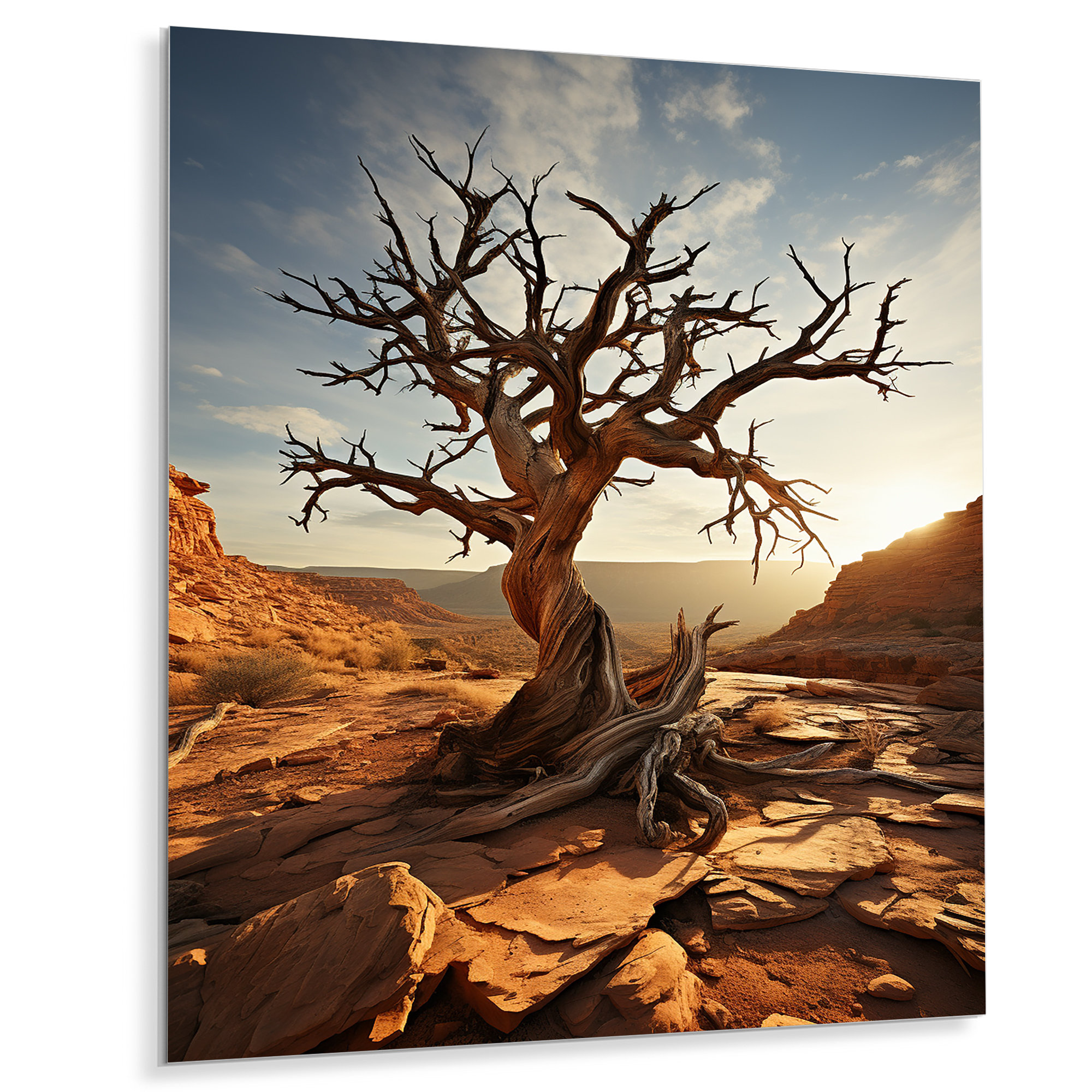 Union Rustic Desert Mirage Ii - Floral Metal Wall Art Prints | Wayfair