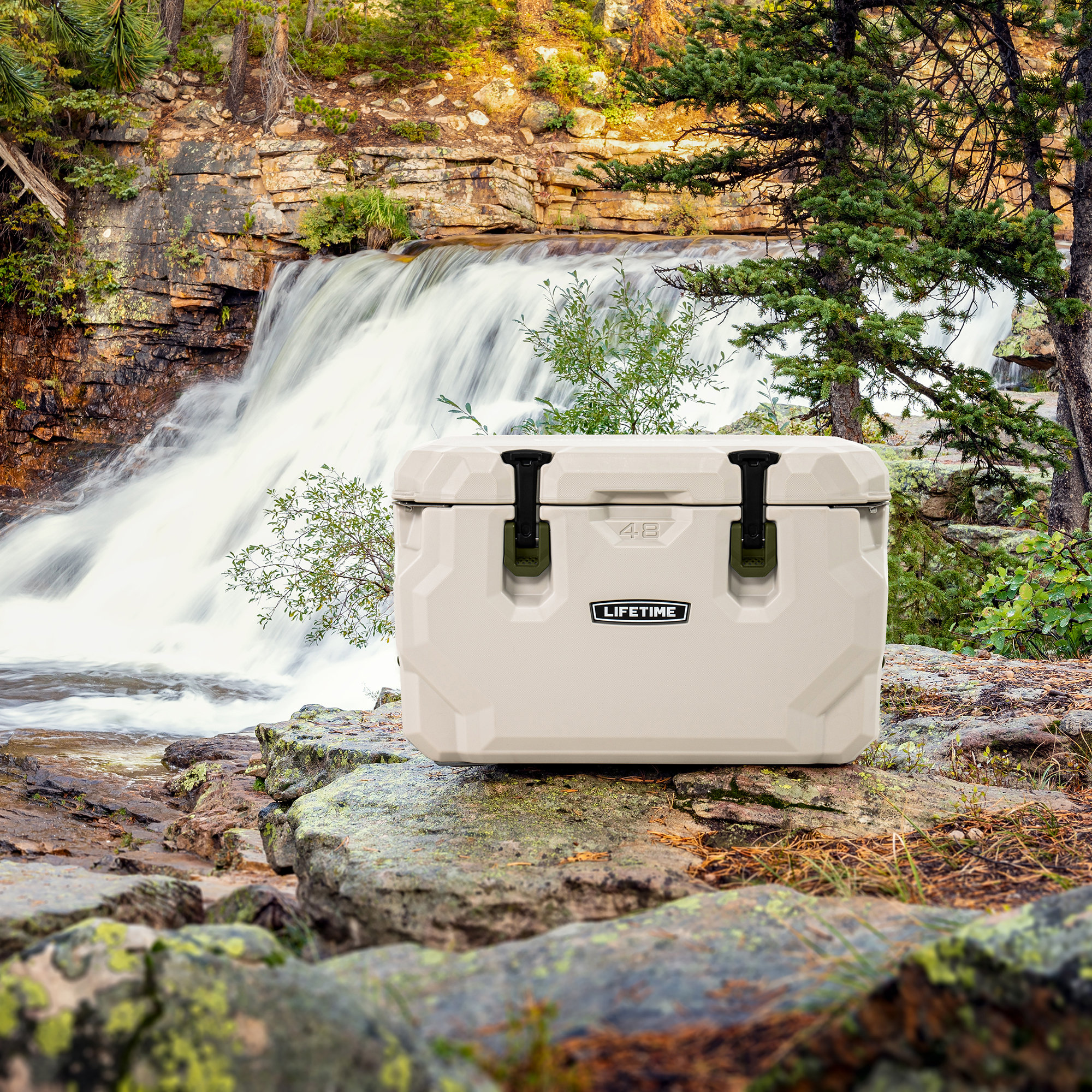 Lifetime 48 Qt. High Performance Cooler & Reviews - Wayfair Canada