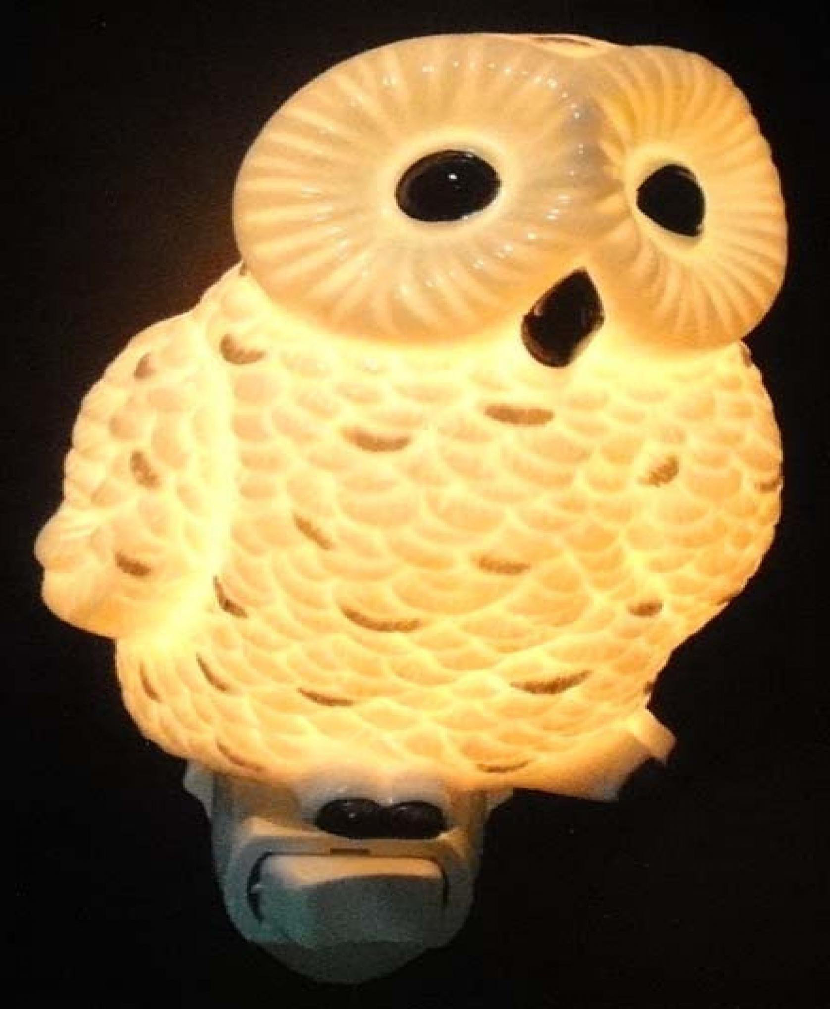 MDR Trading Inc. White Owl Night Light | Wayfair