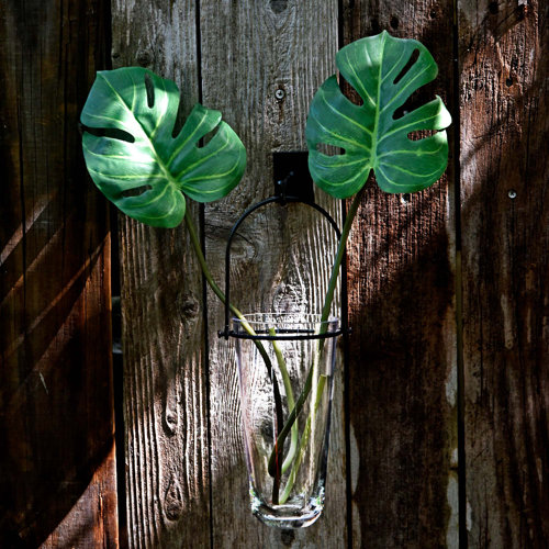 Latitude Run® Glass Wall Vase & Reviews | Wayfair