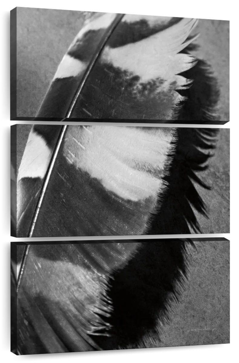 Elephant Stock Feather Shadow II | Wayfair