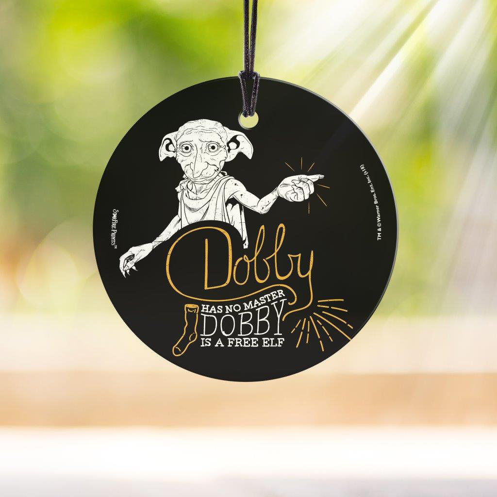Trend Setters Harry Potter Dobby Hanging Glass Print - Wayfair Canada
