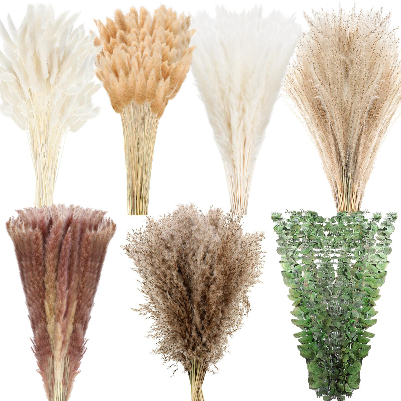 Primrue 650 Pcs Dried Pampas Grass Decor Bulk 17" Dried Bunny Tail ...