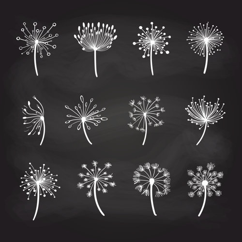 Winston Porter Leniece X-Ray Dandelions On Canvas by Vectortatu Print ...