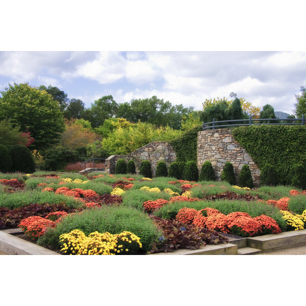 Ebern Designs Keyanah " North Carolina " by Jilllang | Wayfair