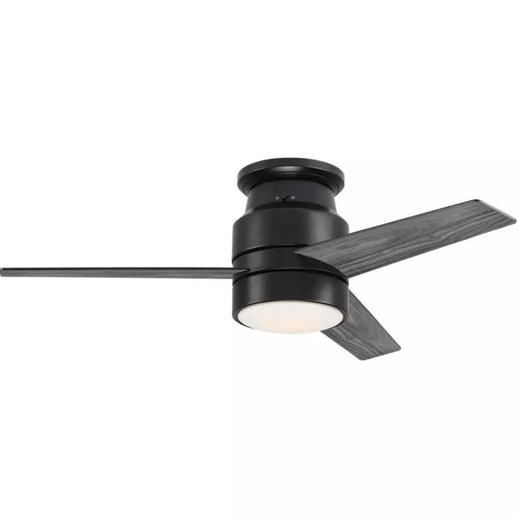 Latitude Run® Caliopia 42'' Ceiling Fan with LED Lights & Reviews | Wayfair