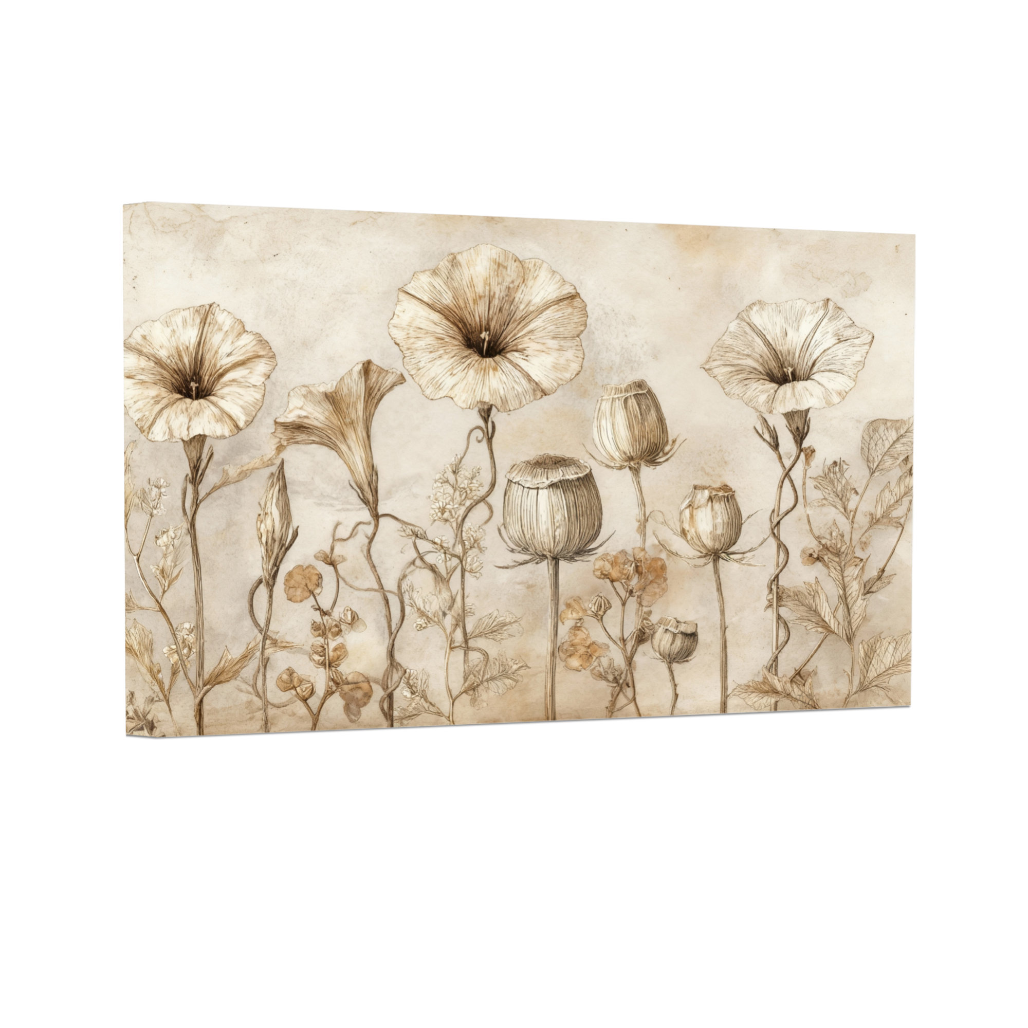 Canora Grey Plants & Flowers Vintage Floral Botanical Art Print ...