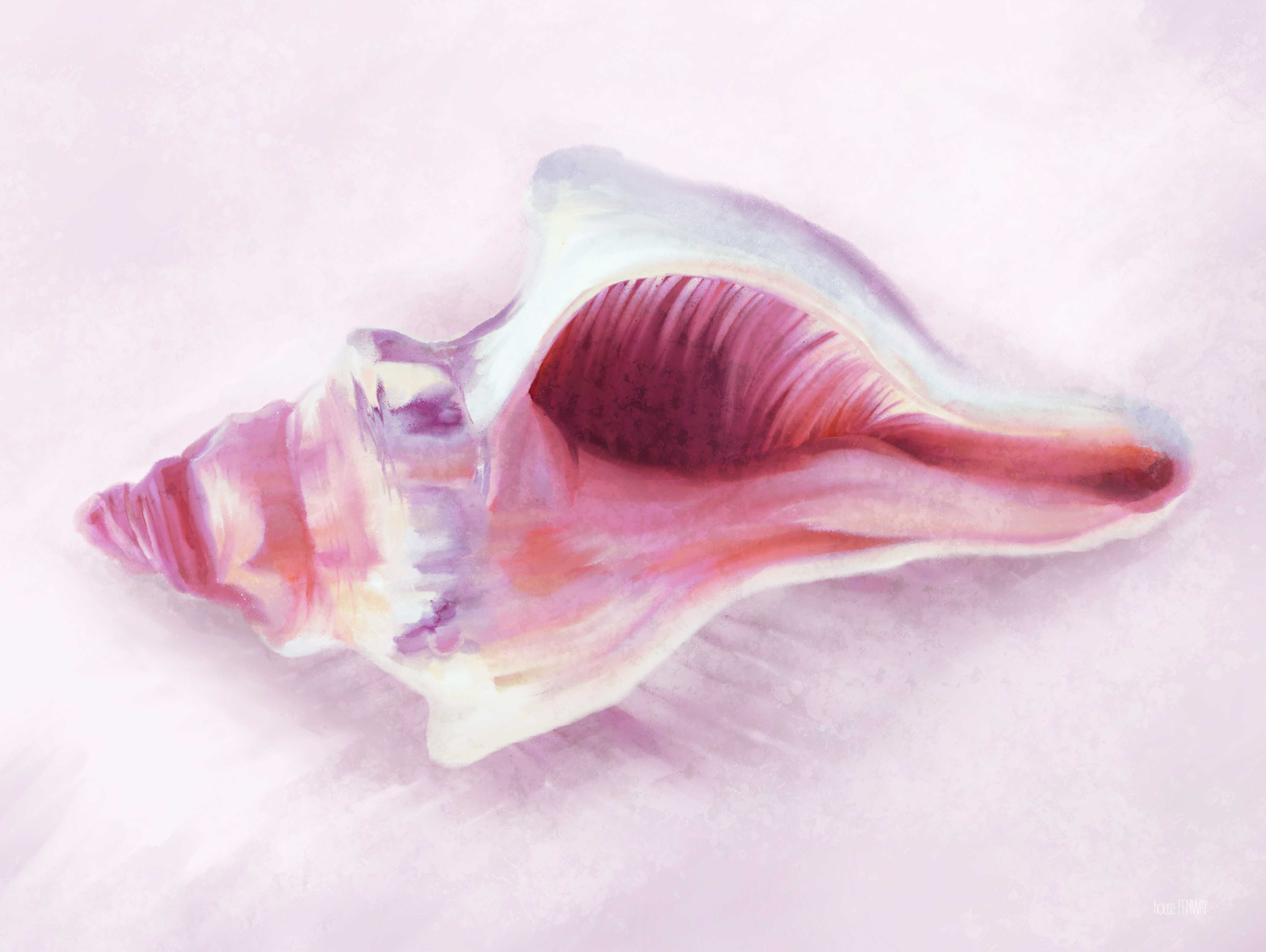 Rosecliff Heights Conch Shell Blush II - Wrapped Canvas Print | Wayfair