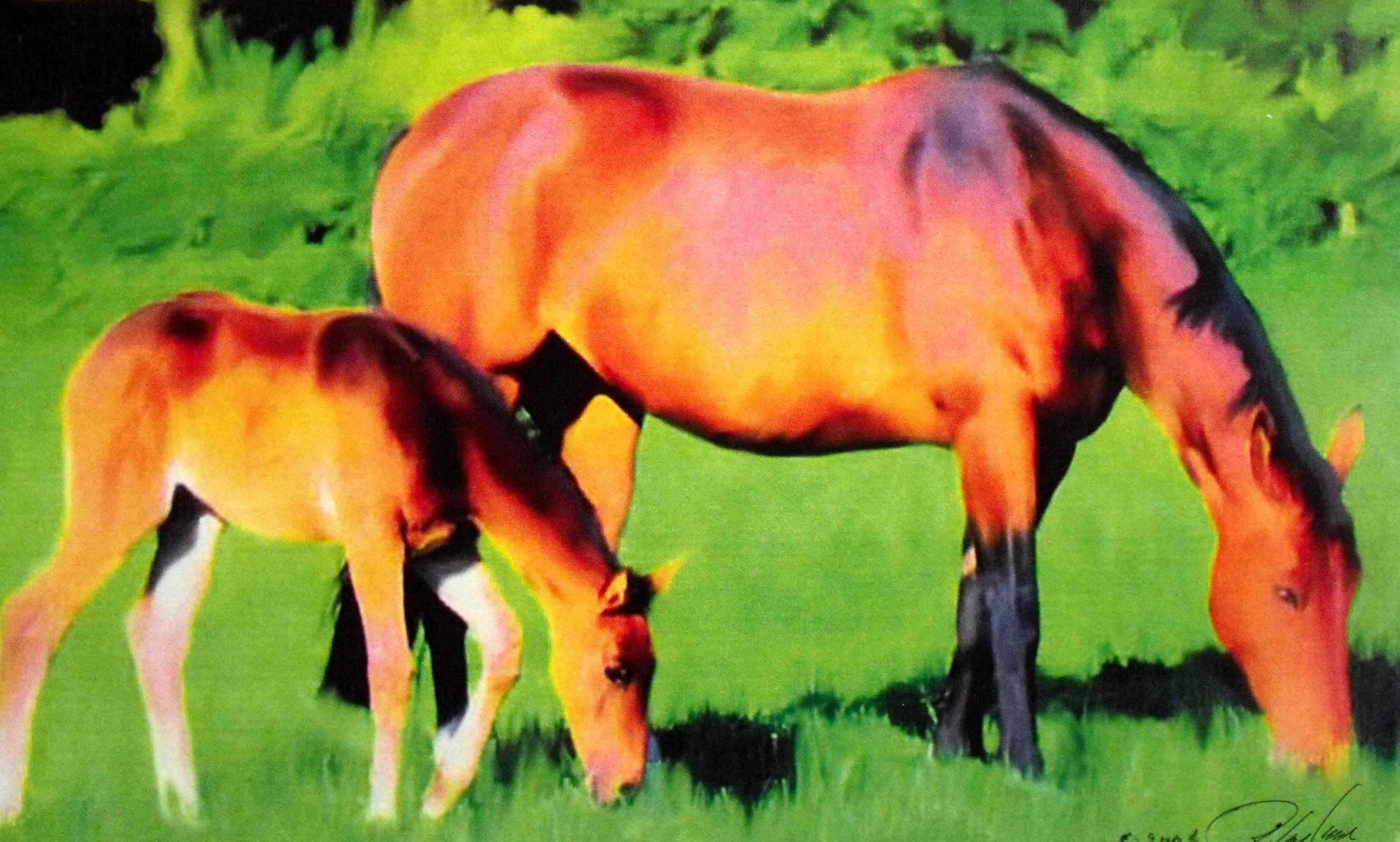 Ebern Designs Mare by Tymeless Wonders - Graphic Art Print | Wayfair