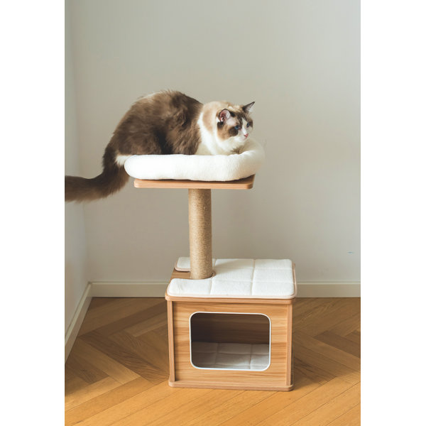 Catry 30" Cat Tree with House & Reviews | Wayfair