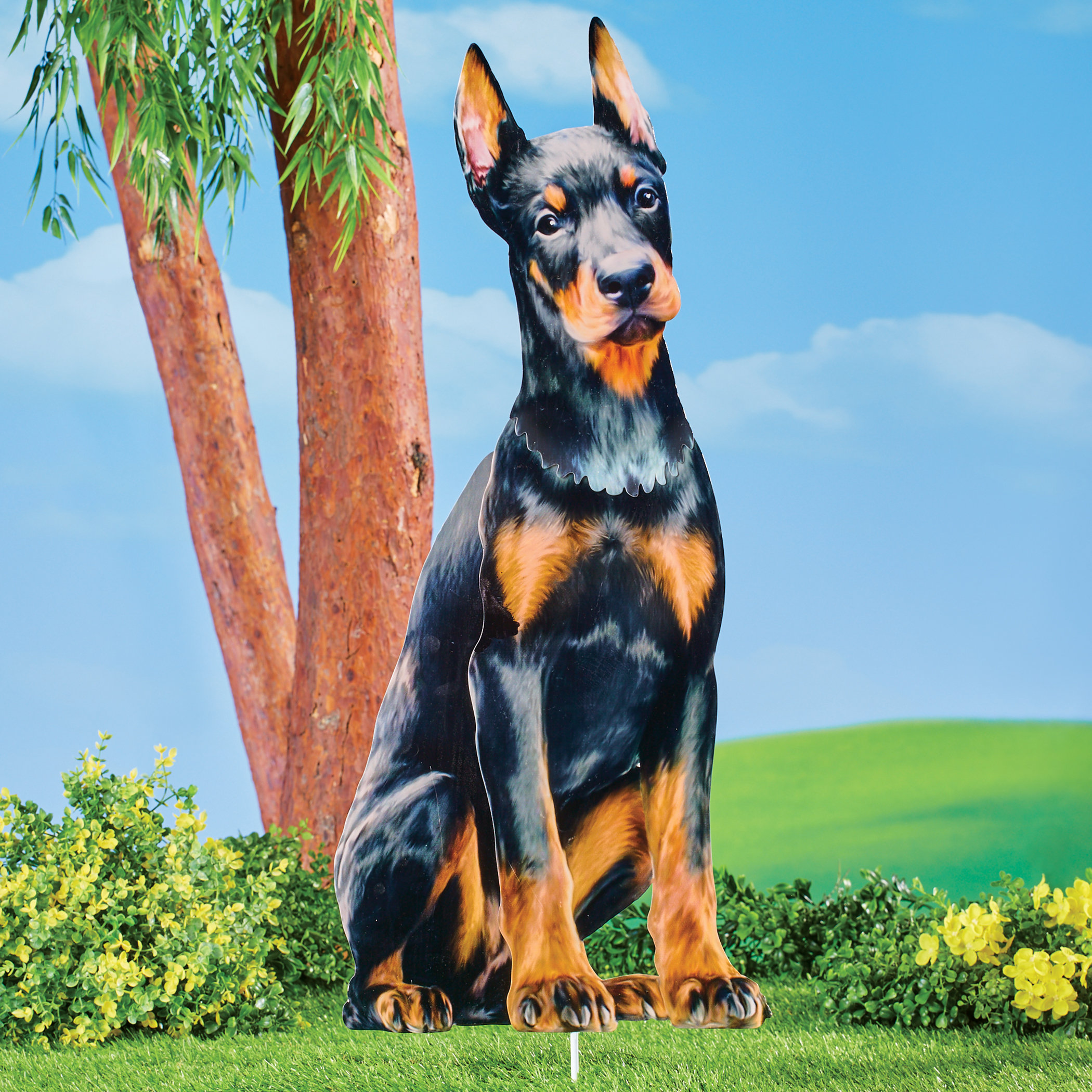 Doberman Blue
