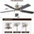 Ebern Designs 42 Inch Ceiling Fan 5 Blades Noiseless Reversible Dc ...