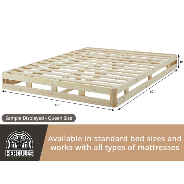 Hercules Bed Frames Hercules Foundation Mattress Box Spring & Reviews ...