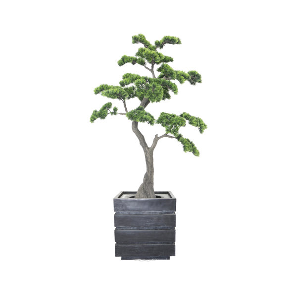 Vintage Home 52" Artificial Faux Bonsai Tree | Real Touch Artificial ...