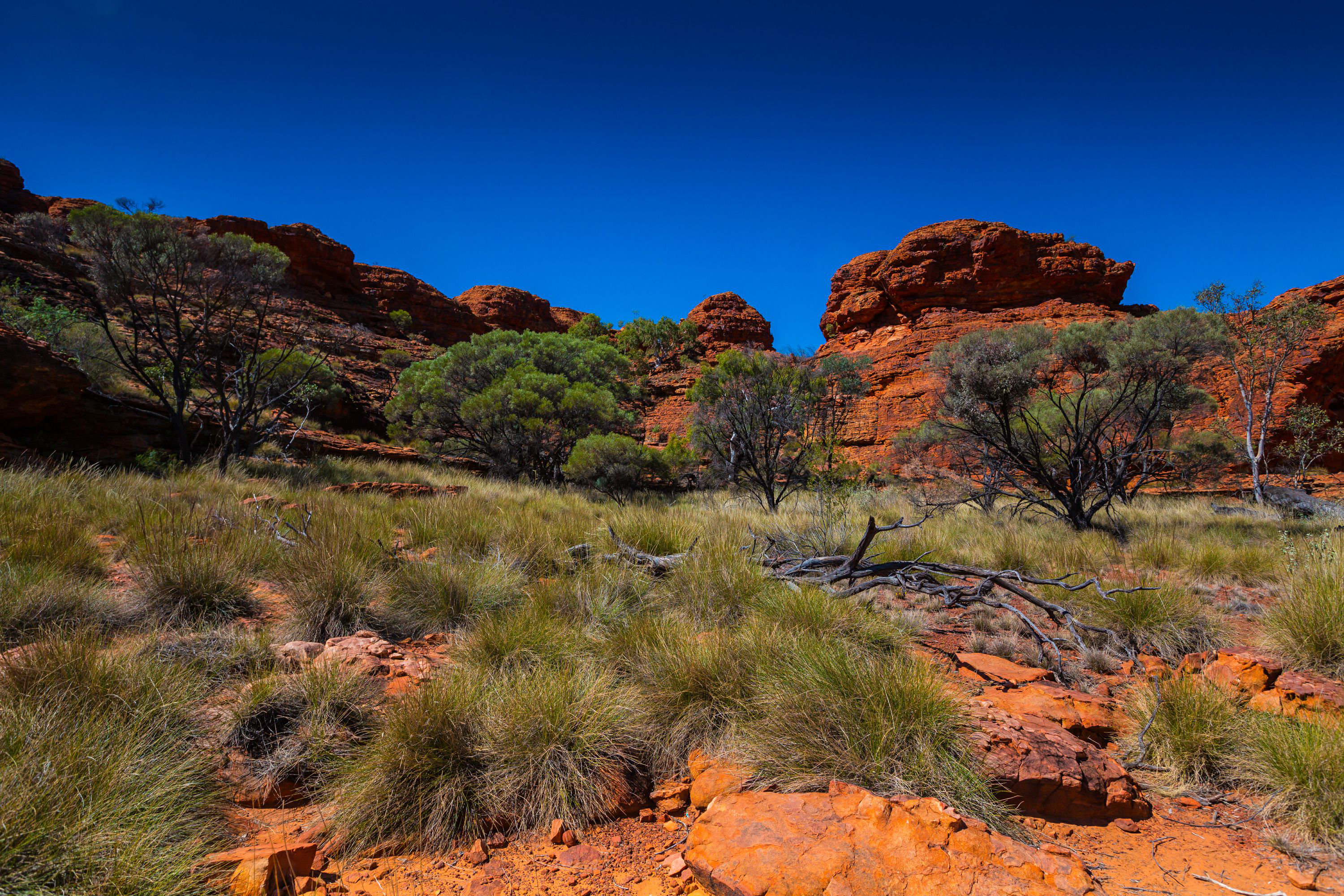 Union Rustic Jertavious Australia Outback Landscape On Canvas by Structuresxx Print | Wayfair